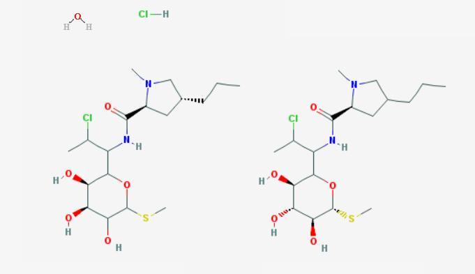 Clindamycin Hydrochloride Monohydrate – Virtual Museum of Molecules and ...